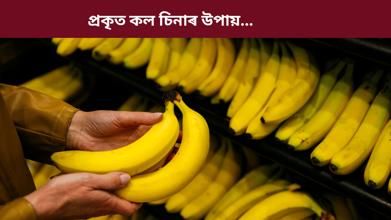 Banana: ৰাসায়নিক পদাৰ্থৰ দ্বাৰা পকোৱা কল কেনেকৈ চিনি পাব? জানক ৪টা সহজ ...