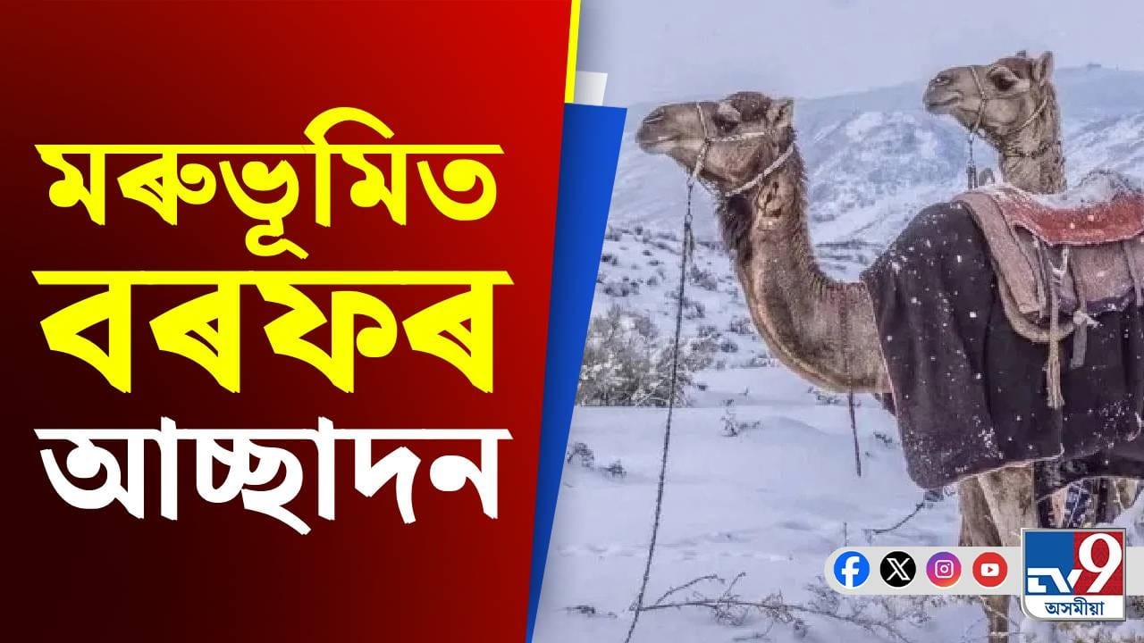 আচৰিত দৃশ্য! গৰম মৰুভূমিত তুষাৰপাতে গঢ়িলে অভিলেখ... | Rare Snowfall in ...
